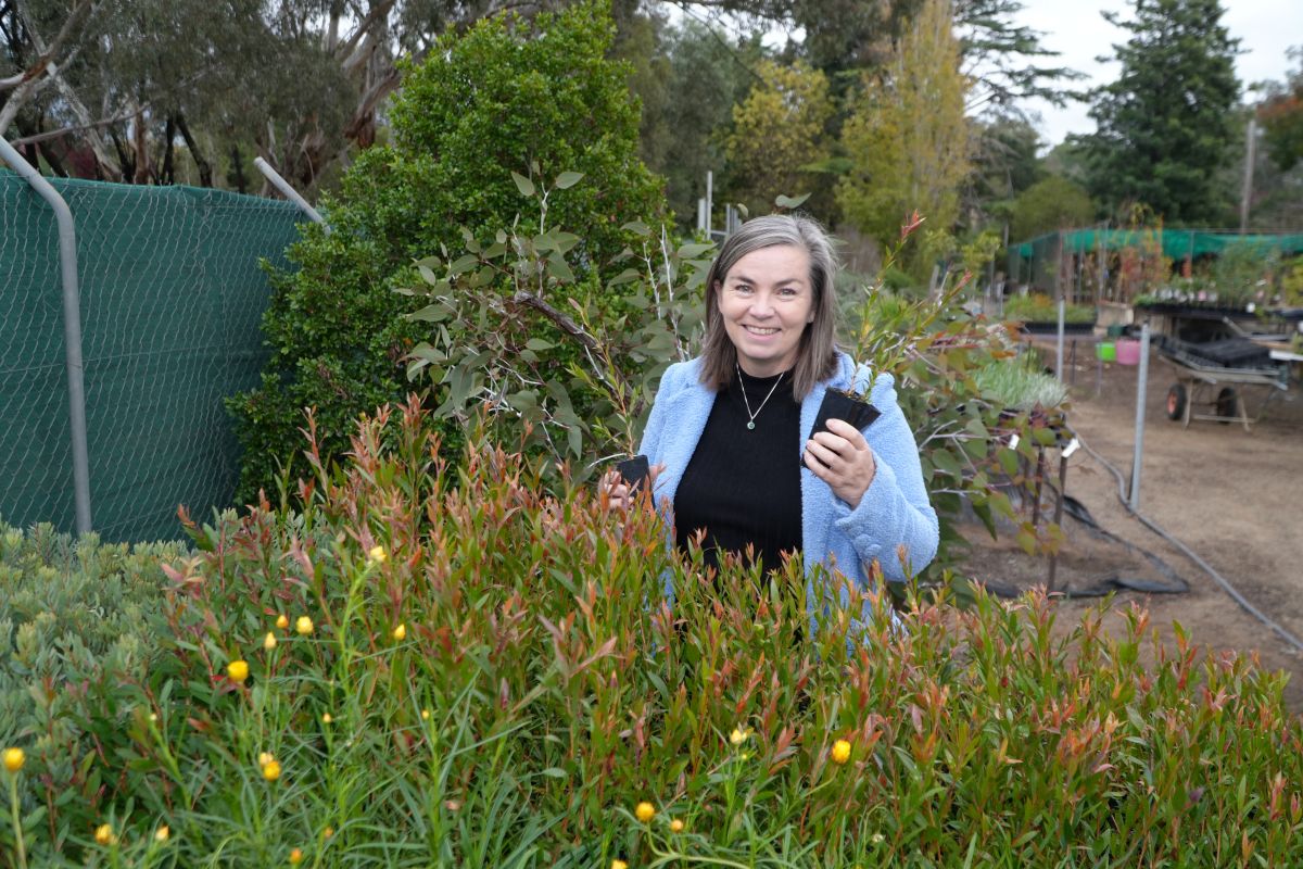 Last Season Of Council's One Tree For Me Campaign | Mirage News